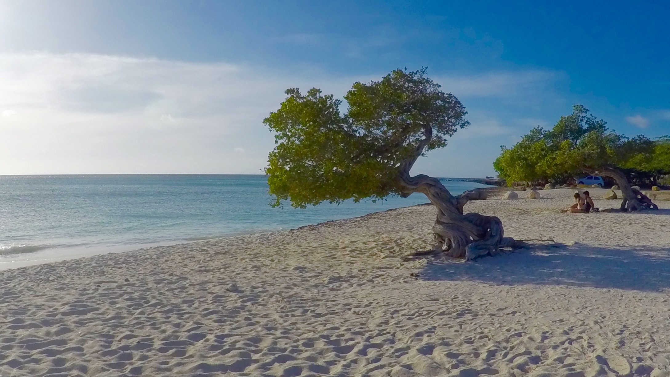 Travel guide to Aruba – CITIZEN ON EARTH