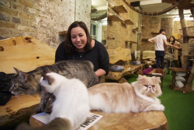 Visiting a Cat Café in London – CITIZEN ON EARTH